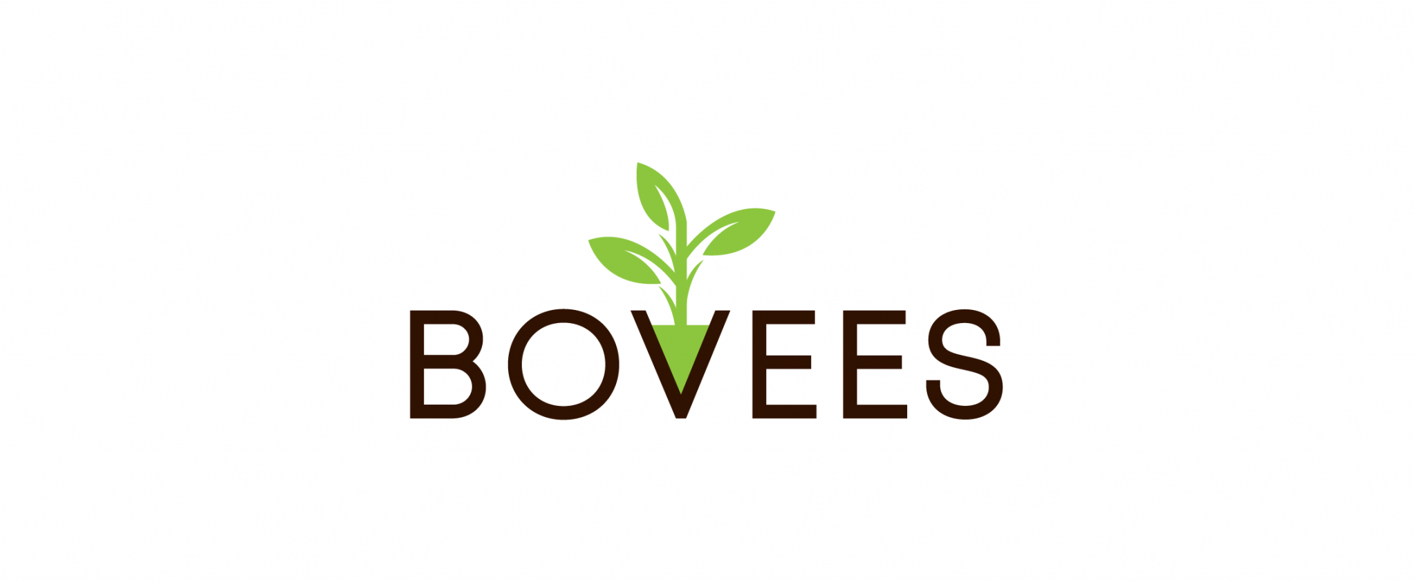 Touch Me Not Plant — Mimosa pudica Sensitive Plant Care