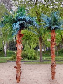 How Much Do Palm Trees Cost? – Bovees, where the growing begins!