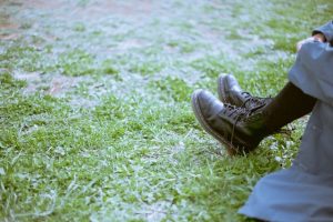 How To Get Rid Of Stickers And Sand Burrs In Your Yard