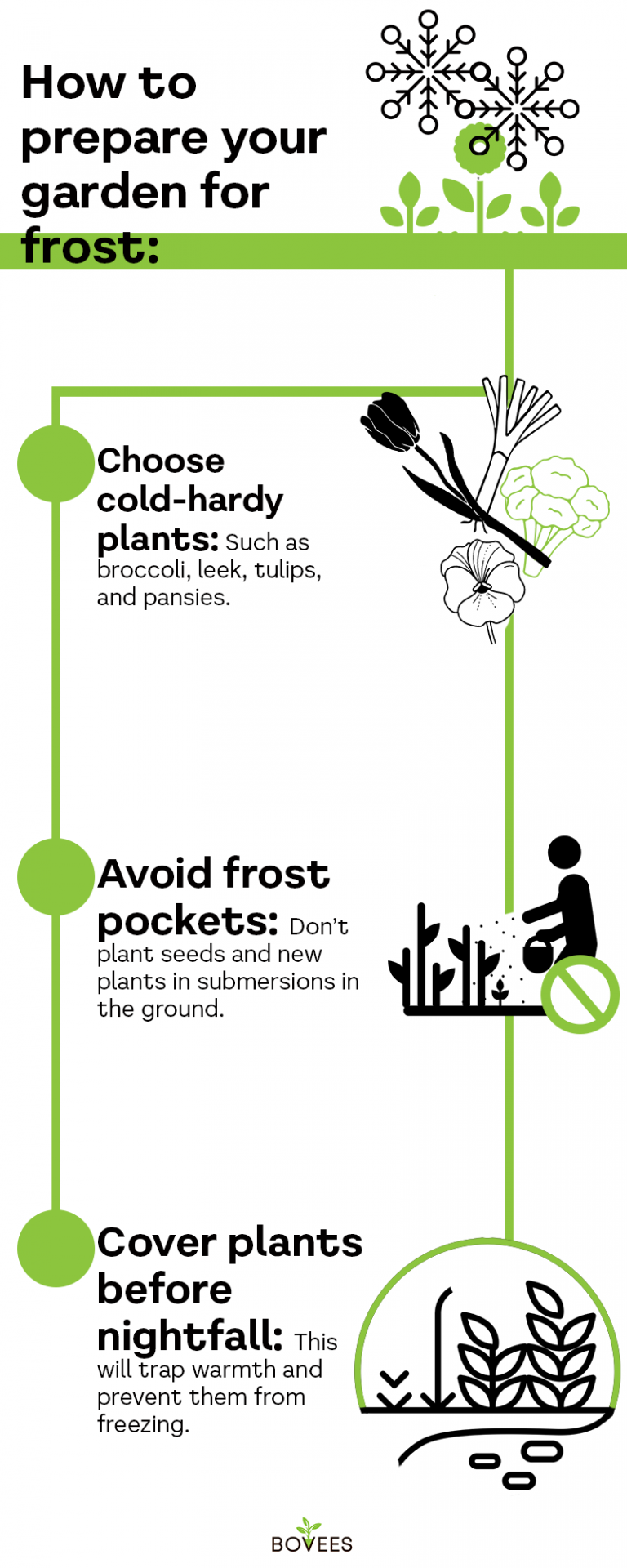 How to Protect Plants From Frost - Best Frost Blankets